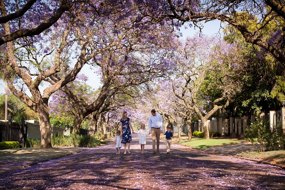 Pretoria Jacaranda Photos Session