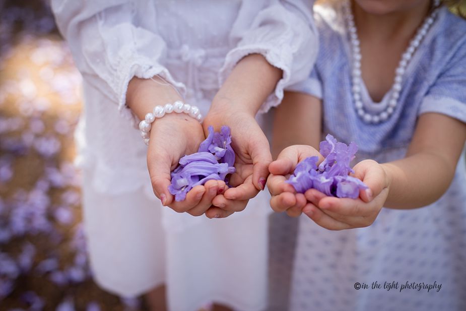 Pretoria Jacaranda Photos Session